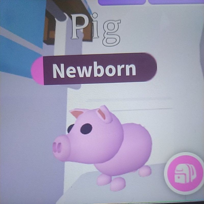 Adopt Me! Normal Pig (Rare pet) Roblox | Shopee Malaysia