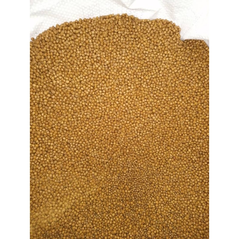 [1KG] Pellet / Dedak ikan 8811 (1mm) untuk Ikan Keli | Tilapia | Guppy ...