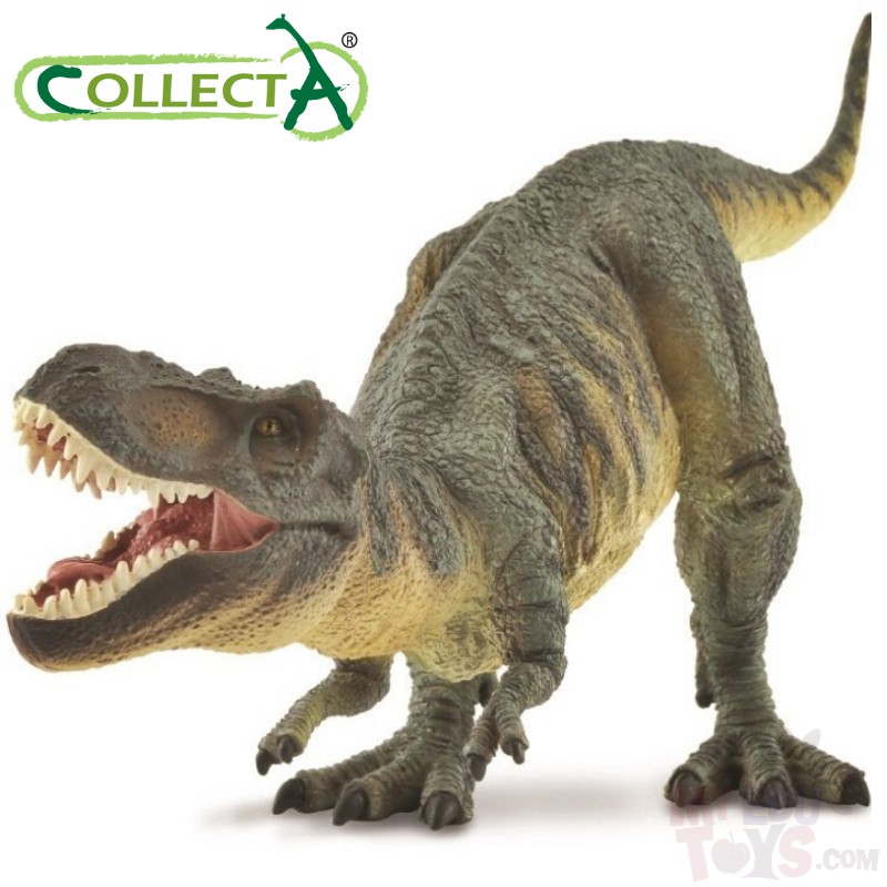 Tyrannosaurus Rex Deluxe 1:40 Scale - Collecta 88251 Prehistoric Life ...