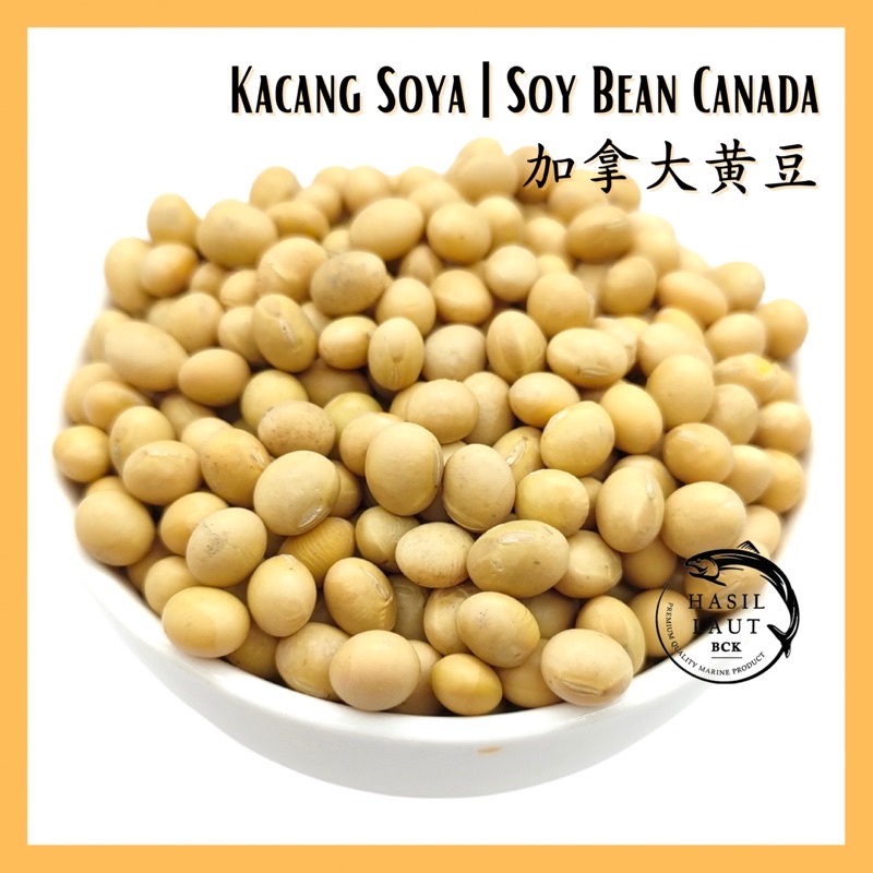 Kacang Soya | Soy Bean Canada 加拿大黄豆 (500g/1Kg) | Shopee Malaysia