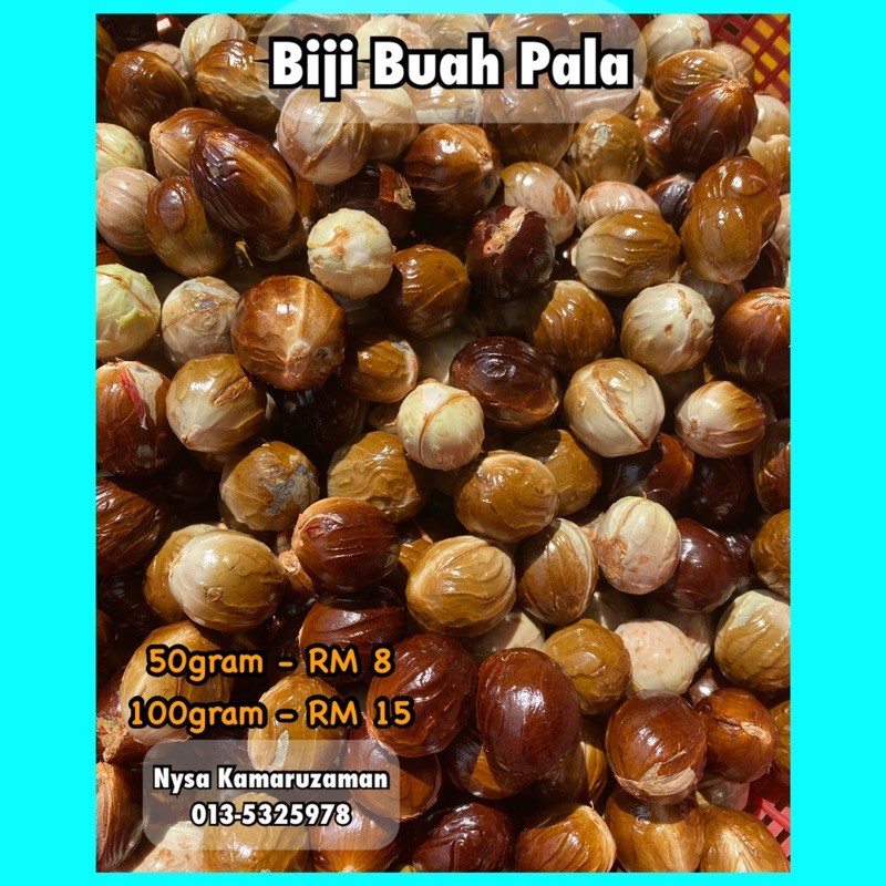BIJI BUAH PALA (PENANG NUTMEG SEEDS) & SELAPUT BUAH PALA 50GRAM ...