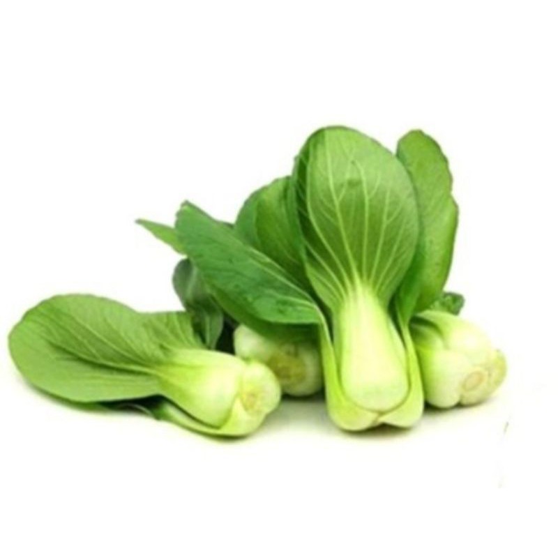 dwarf pak choy / pak choy renek / sawi jepun | Shopee Malaysia