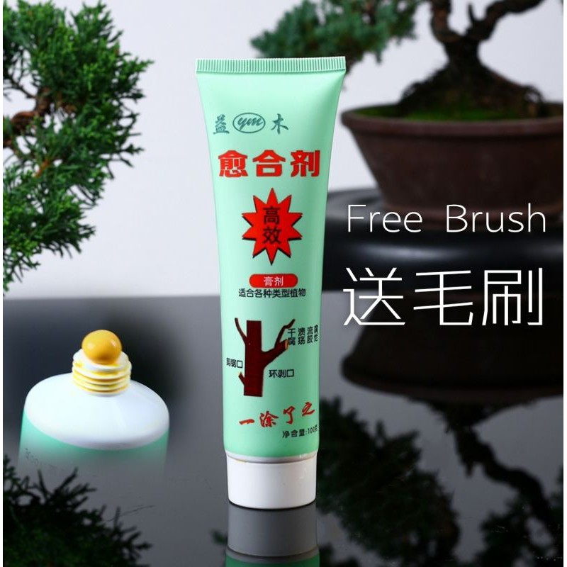 Bonsai Paste 🌺Plant Wound Agent Fruit Tree Sealant Smear Agent Graft ...