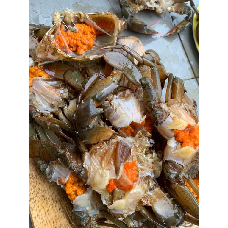 🦀🦀🦀KETAM NIPAH BETINA FROZEN / MUD EGG CRAB🦀🦀🦀 | Shopee Malaysia