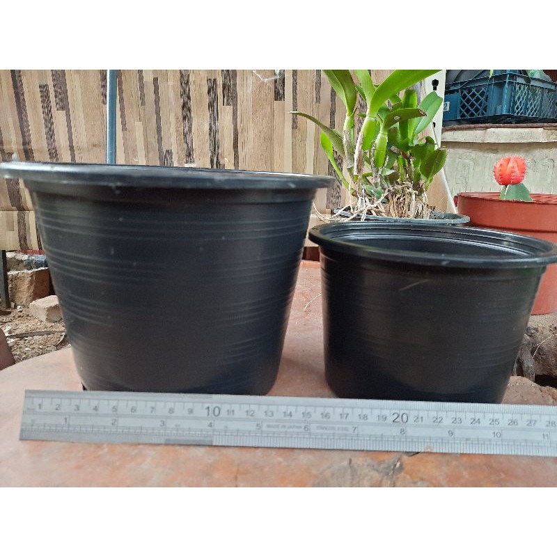 Pasu Hitam tahan lasak thailand | Shopee Malaysia