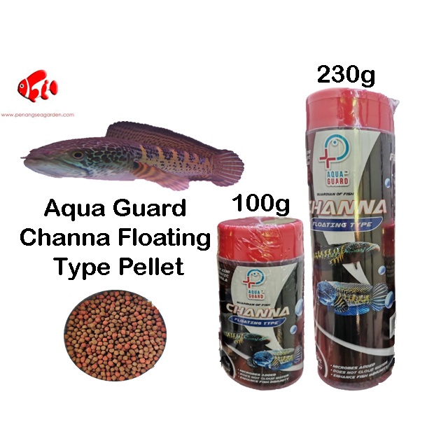 Aqua Guard Channa Fish Food Floating Makanan Ikan Channa | Shopee Malaysia