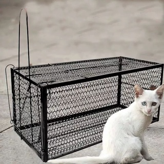 Perangkap kucing / Cat Trap / Sangkar Big Cage / Sangkar Besar | Shopee ...