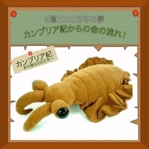 TST ADVANCE Plush toy Ancient creature series Anomalocaris (Plush Toy ...