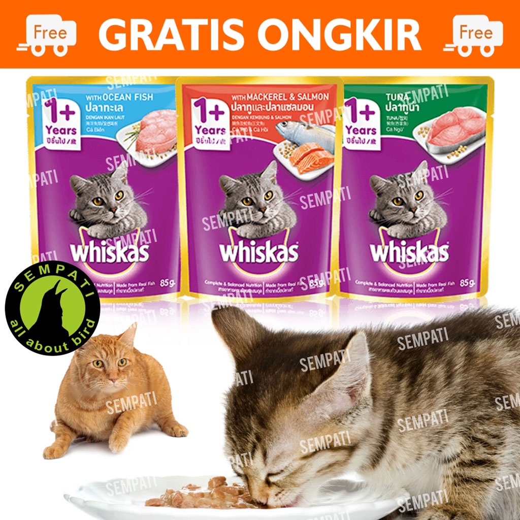 Whiskas Wet Pouch 80gram Wet Cat Food Feed Creamy Kitten Adult Cat ...