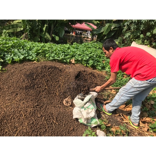 Tahi kambing original dah perab lama | Shopee Malaysia