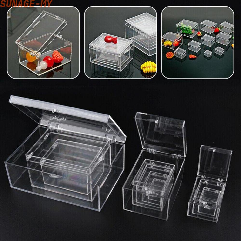 Clear Plastic Box Rectangular Insect Specimen Display Desktop Storage ...