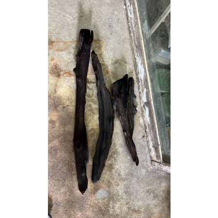 kayu kemuning hitam 5. 5kg | Shopee Malaysia