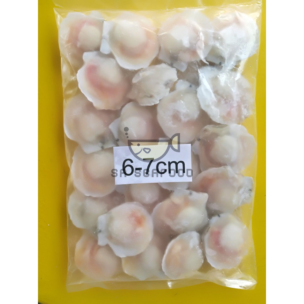 Half Shell Scallop Roe 6-7cm 1kg+-/Pack | Shopee Malaysia