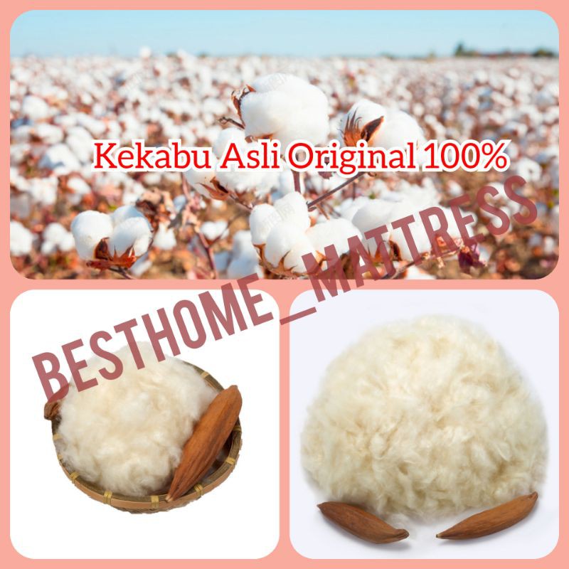 KEKABU ASLI 100% Original 8A Quality🔥🔥🔥 - READY STOCK | Shopee Malaysia