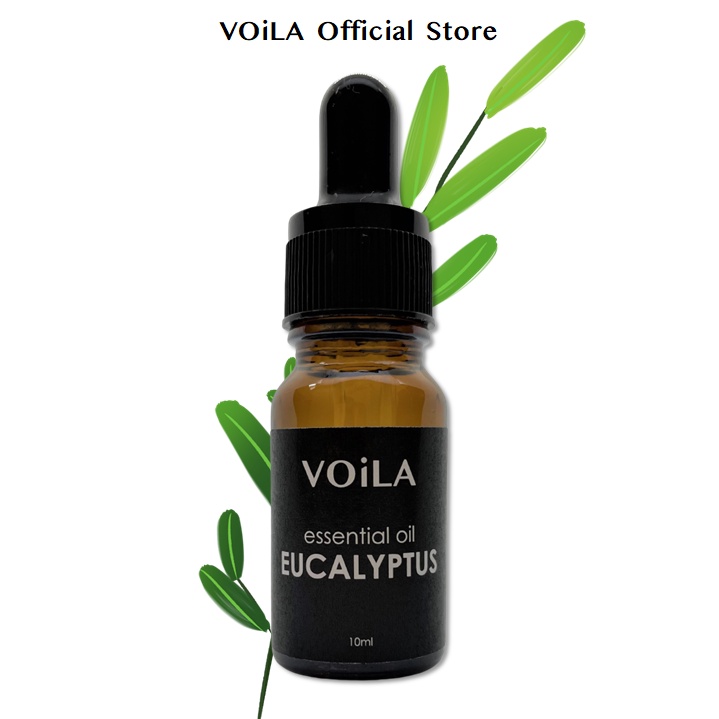 VOiLA Eucalyptus Essential Oil (10ml) | Shopee Malaysia