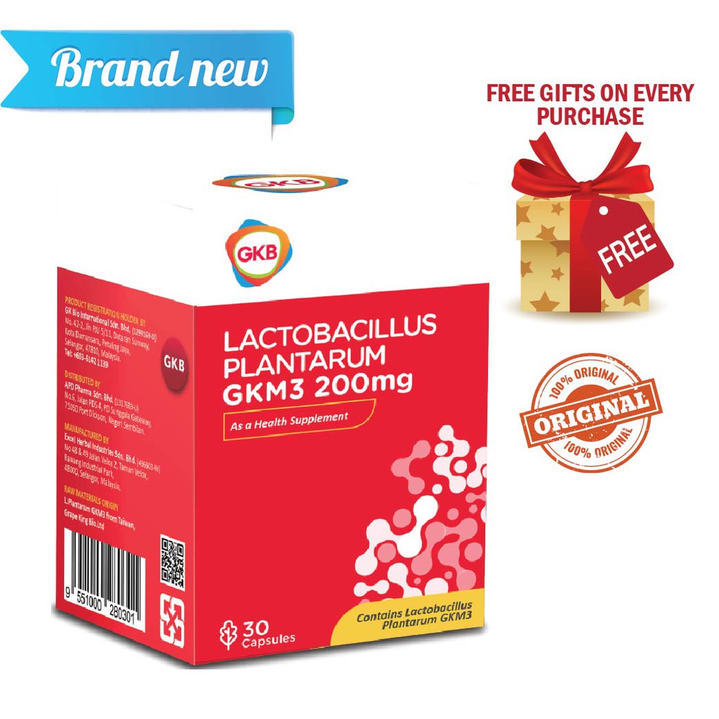 GKB Lactobacillus Plantarum GKM3 200MG | Probiotic for Fat (KKM ...