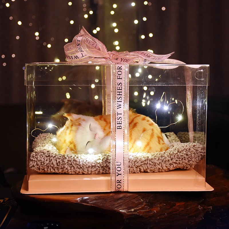 Valentine Gift Cute Cat Pet Children Gift Birthday Girl Girlfriend ...