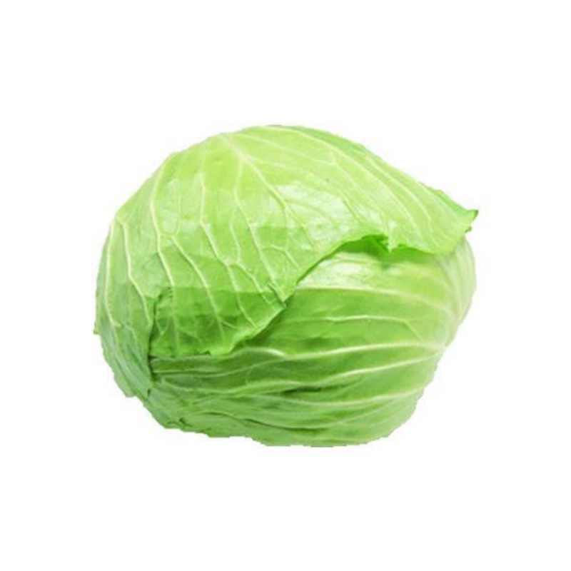 [Ready Stock Sejadi - Klang Valley Only] Cameron Cabbage/Kobis Bulat ...