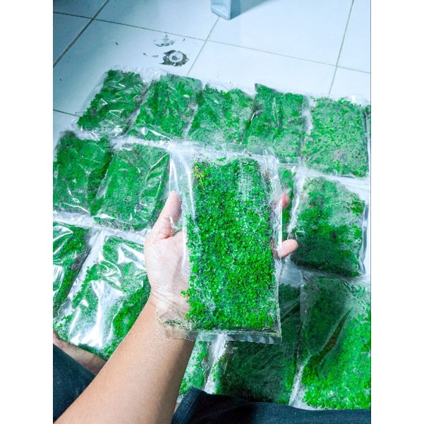 monte carlo pack fresh (emersed) | Shopee Malaysia