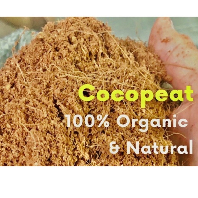 🔥BIG SALES🔥[Direct Factory] Grade A Dry Cocopeat Organic Natural ...