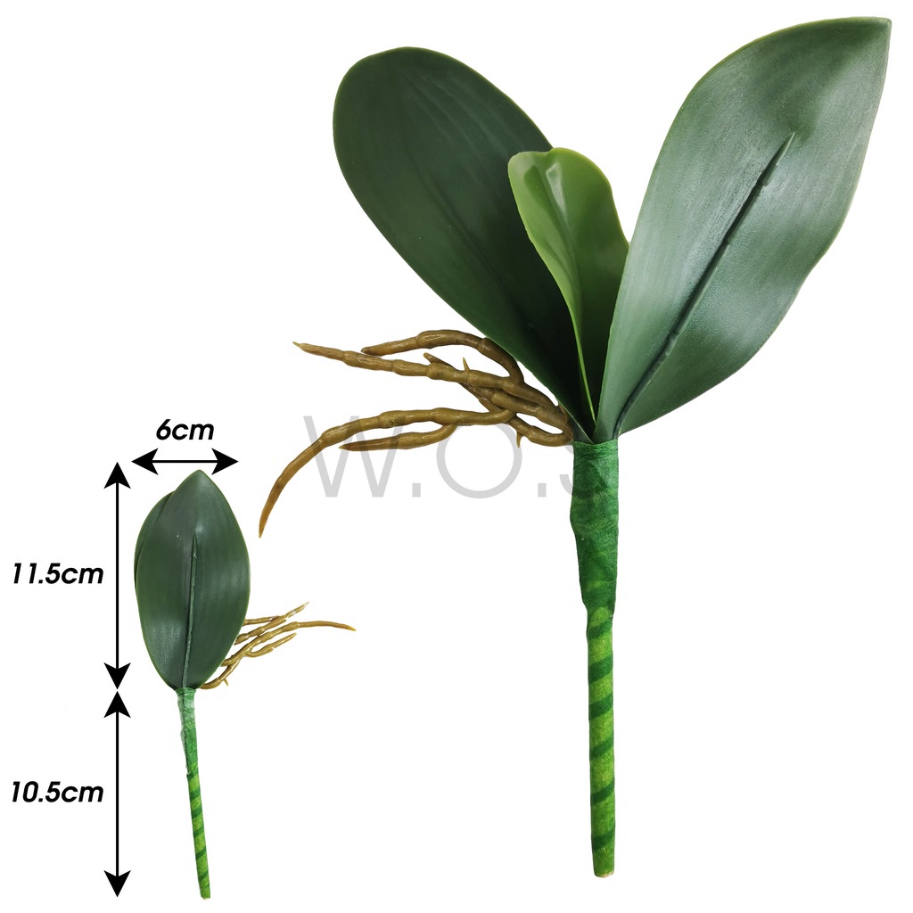 [Ready Stock](9 Type) Artificial Orchid Leaf Latex / Daun Gubahan Bunga ...