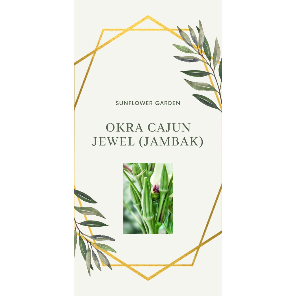 Bendi Okra Cajun Jewel (jenis jambak) - 10 seeds | Shopee Malaysia