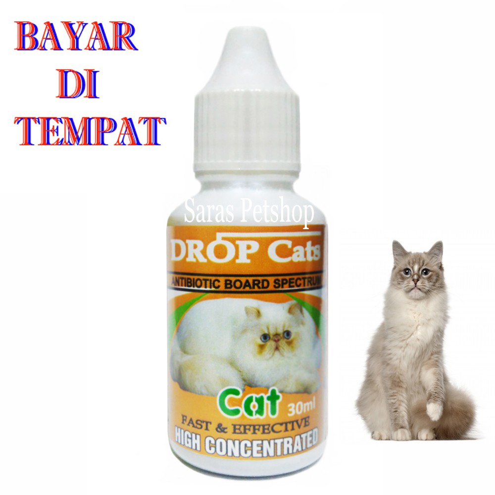 Antibiotic cat Medicine vitamin Hot Fever flu drop cat | Shopee Malaysia