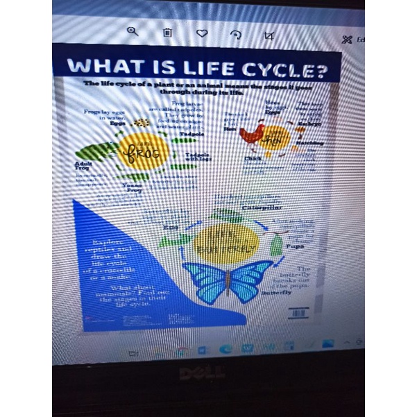 laminated educational charts ( SCIENCE ) | Shopee Malaysia