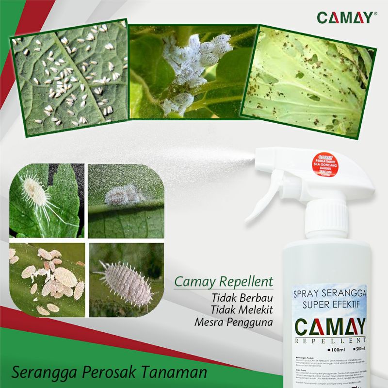 SPRAY SERANGGA NATURAL BASMI PEROSAK TANAMAN POKOK ULAT, KUMBANG | AFID ...