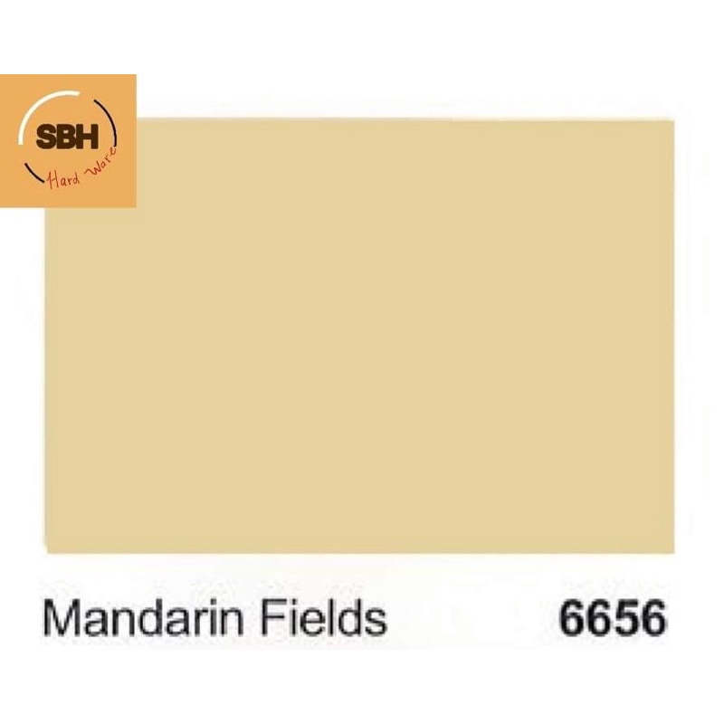 Smart Paint Smartex Emulsion paint 7L Can Interior And Exterior Wall ...