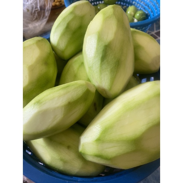 Pelam sala garam belacan | Shopee Malaysia