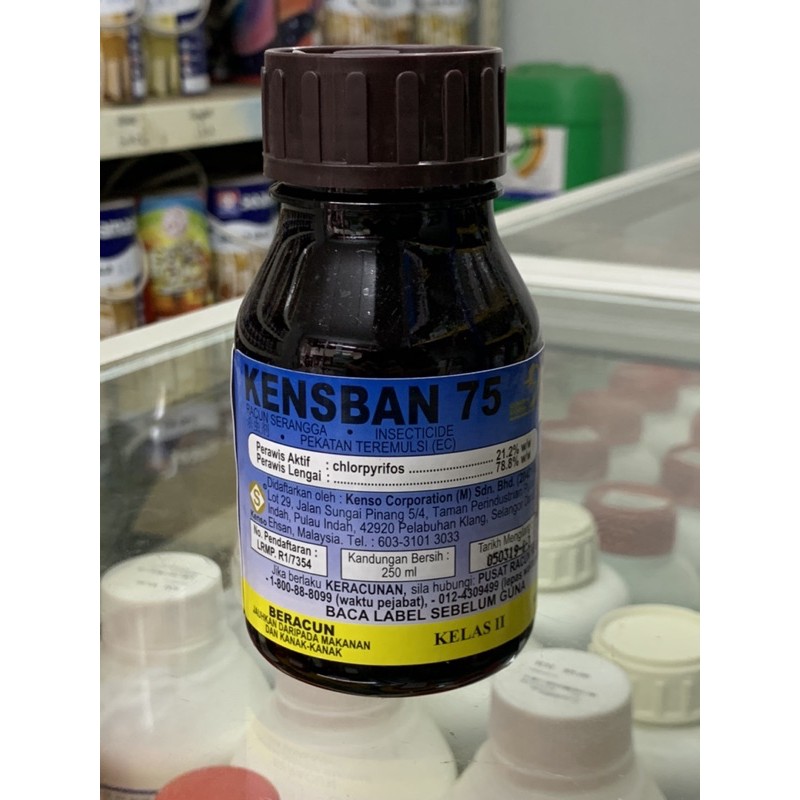 Kenso Kensban 75 Insecticide Racun Serangga Termite Poison (Racun Anai ...