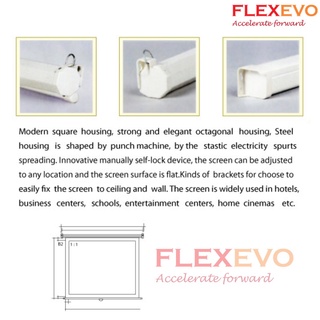 Manual Wall Ceiling Mount Projector Screen 1:1 4:3 16:9 100" Ronald ...