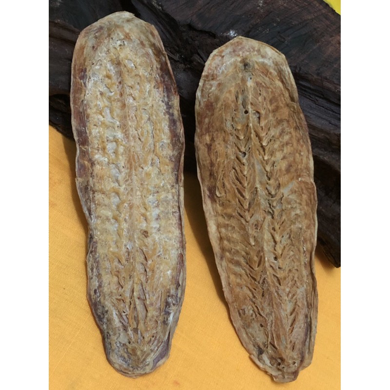 ikan tempel (free pos) | Shopee Malaysia