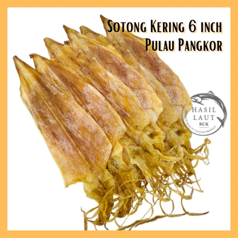 Sotong Kering 6 Inch | Dried Squid 6’ [P.Pangkor] 邦咯6寸吊片 (100g ...