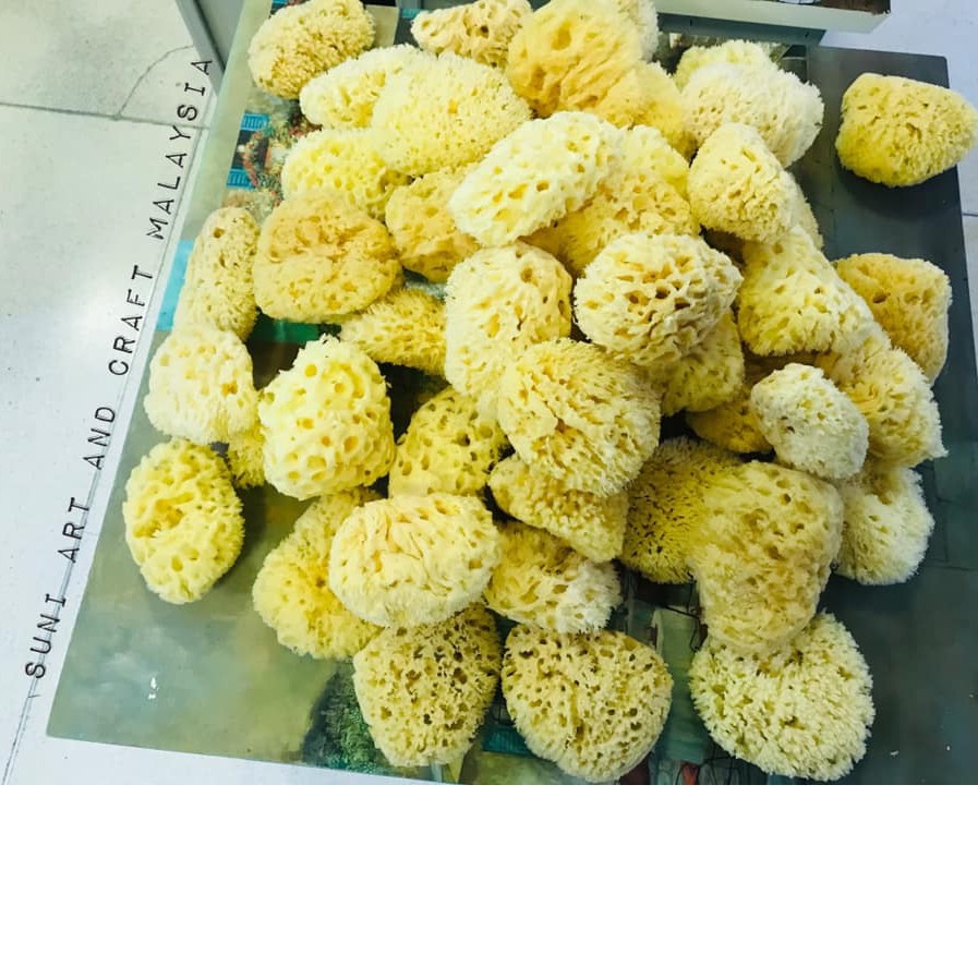 Synthetic Sponge and Natural Sea Sponge from Greece - to create nice ...