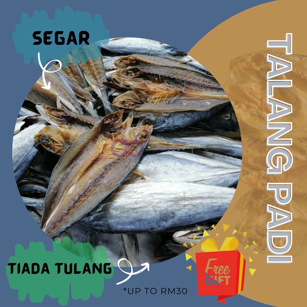 Ikan Masin Talang Padi (250g/500g) | Shopee Malaysia