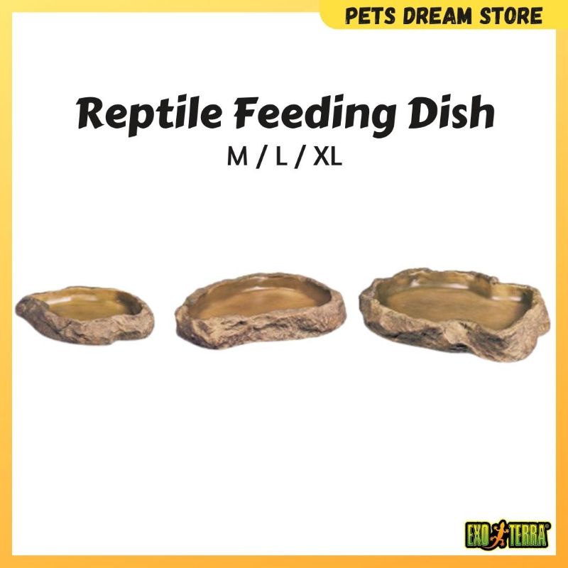 Exo Terra Reptile Tortoise Feeding Dish M/L/XL Reptile food bowl ...