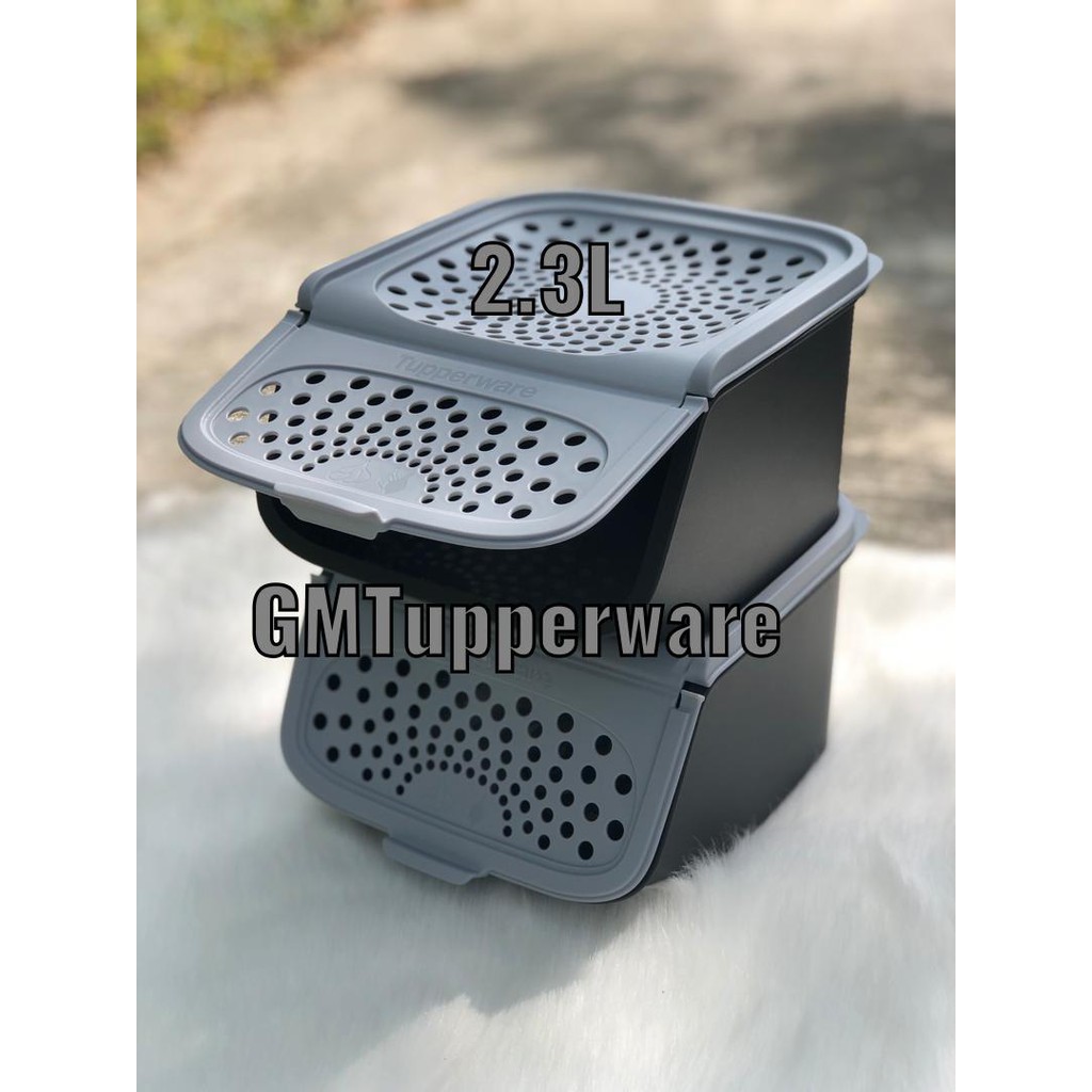 TUPPERWARE ACCESS MATE GARLIC KEEPER(1PC/2PCS) | Shopee Malaysia