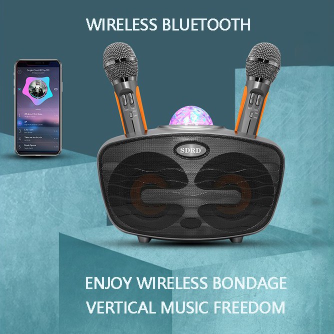 SDRD SD-315 Wireless Bluetooth Dual Microphone LED Light Karaoke ...