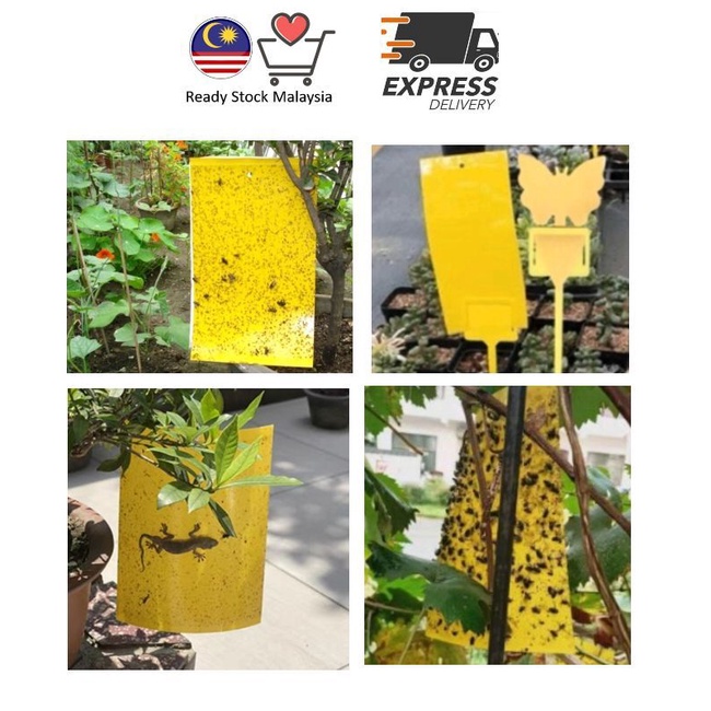 INSECT STICKER PELEKAT SERANGGA 昆虫贴 | Shopee Malaysia