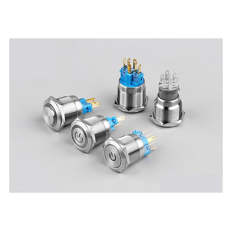 ANTI-VADAL PUSH BUTTON SWITCH WITH INDICATOR ILLUMINATION, DPST, 2A ...