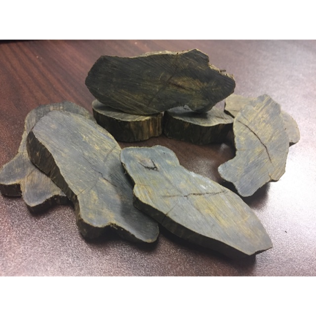 Kayu Kemuning Hitam khasiat dan penawar | Shopee Malaysia