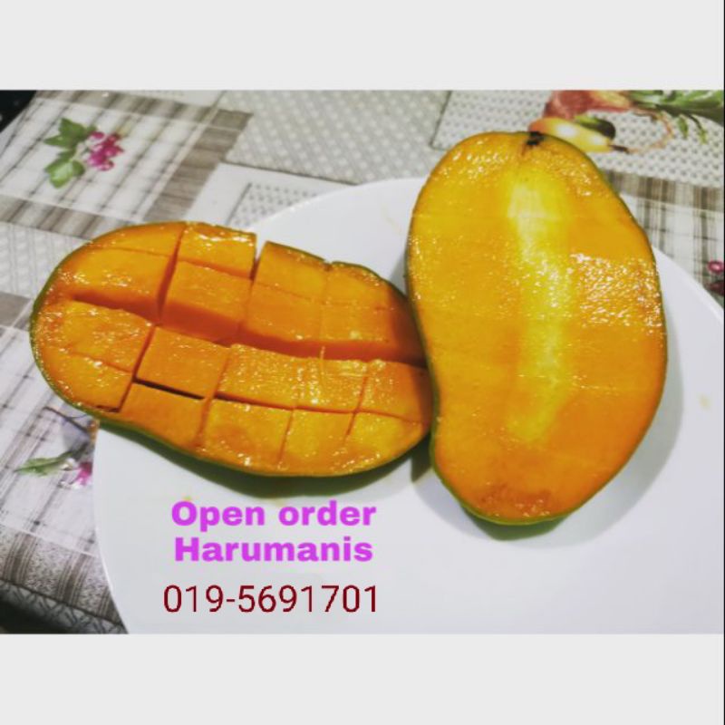 Harumanis original Perlis 3kg *Tiada Penghantaran ke Sabah/Sarawak ...