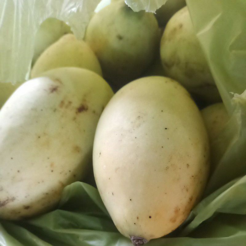 MUDA MANGGA LEMAK DAN MAS HITAM FAMA MURAH 1KG | Shopee Malaysia