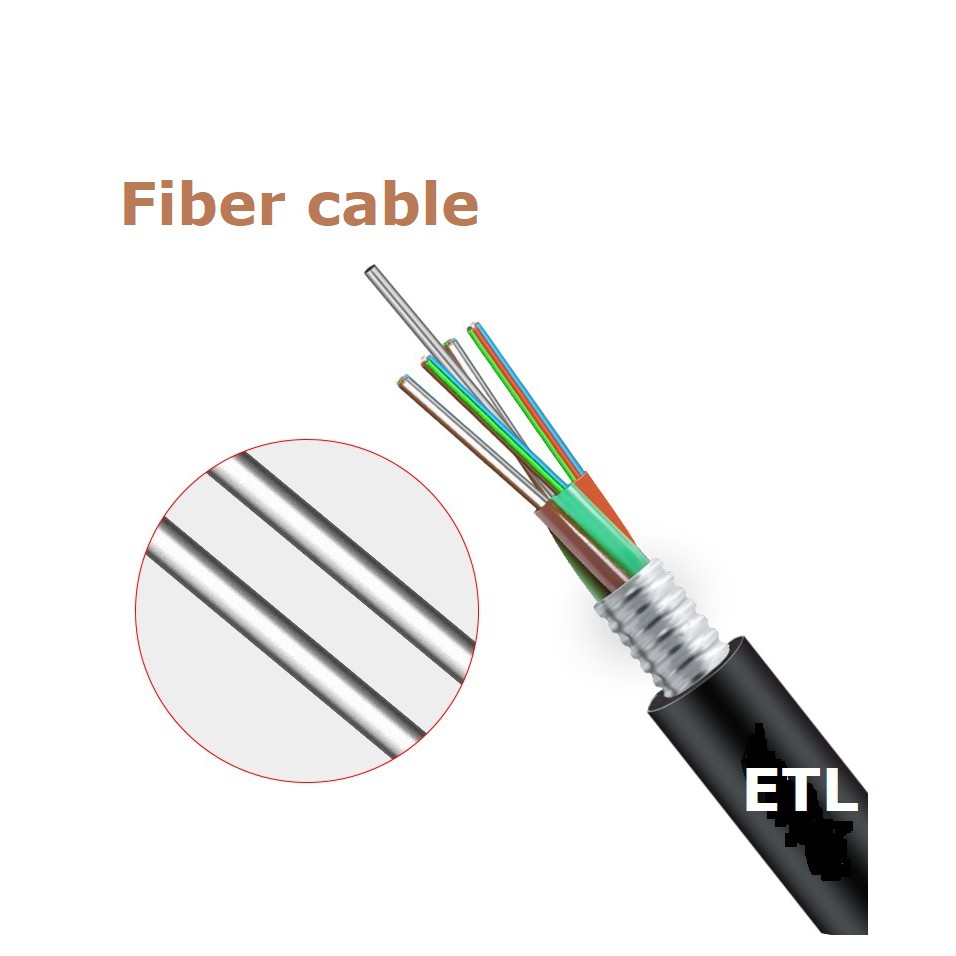 OUTDOOR 12 CORE FIBER OPTIC SINGLE MODE ARMOURED CABLE | Shopee Malaysia