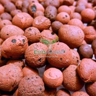 ORIGINAL LECA Balls Hydrokorrels Hydroton GERMANY Clay Pebbles ...