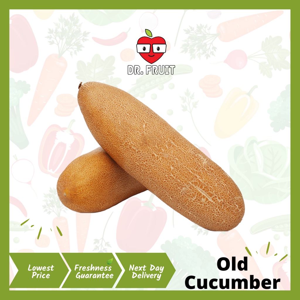 Old Cucumber (800g-1kg) 老黄瓜 | Dr.fruit /Timun Tua | Shopee Malaysia