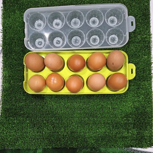 Ready stok/bekas telor(1pcs) | Shopee Malaysia
