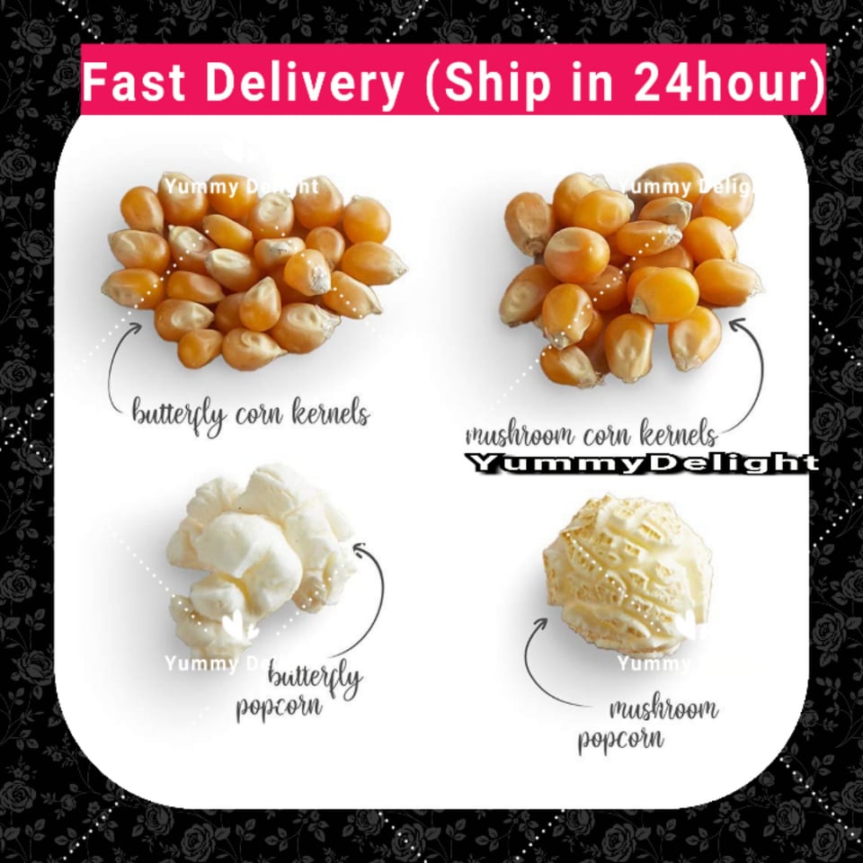 Pop Corn Biji Jagung Corn Kernel Bertih Jagung Mushroom Popcorn ...